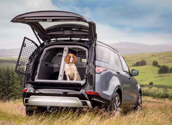 Dogs in Transit: Finding the Perfect Crate - Gundog Journal